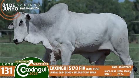 Lote 131 Caxi 5170 Youtube