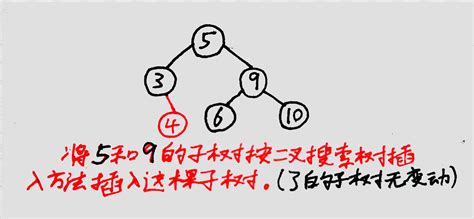 【动画笔记】数据结构 avl树的插入操作 somebottle 博客园