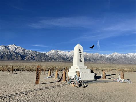 🌍 Today Is Joshua Tree National Park Association Facebook