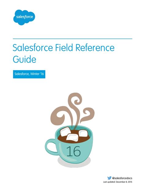 Salesforce Field Names Reference Pdf Data Type String Computer