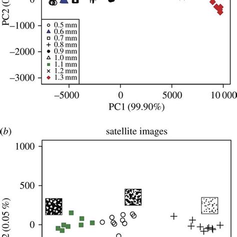 Scatterplots Showing The 20 Dimensional Feature Vectors Derived From