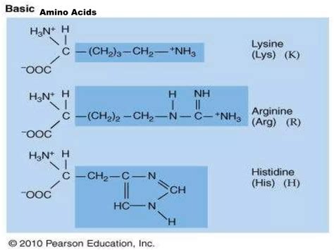 Classification And Structure Of Standard Amino Acids Pptx