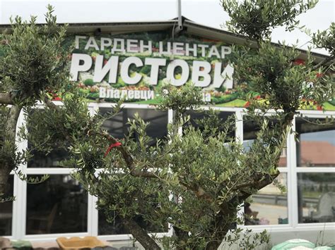 ООМУ „Ристо Јуруков“ 🎵🎵СРЕЌЕН РОДЕНДЕН ХАЈДН🎵🎵 Франц Јозеф Хајдн гер Franz Joseph Haydn 31