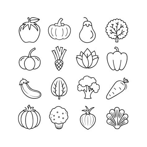 Premium Vector Black Outline Icons Set