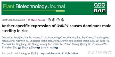 背靠背！华中农业大学张启发院士 南京农业大学万建民院士克隆出首个水稻显性雄性不育基因 知乎