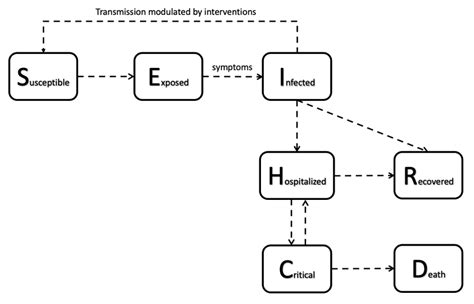 An Illustration Of The Seir Epidemiological Model [2] Download Scientific Diagram
