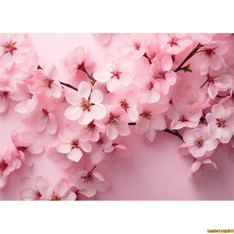 Happy Birthday Festive Rative Elemts Balloon Wedding Arch Photography Backdrops Valtines Day