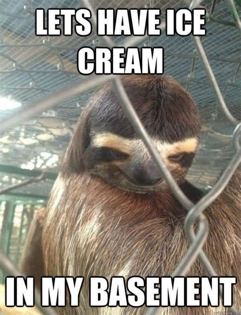 Hilarious Usual Creepy Sloth Meme Picture Quotesbae