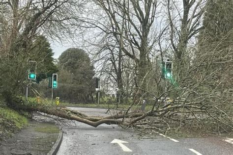 Rsk Habitat Management On Linkedin Trees Treework Vegetationmanagement