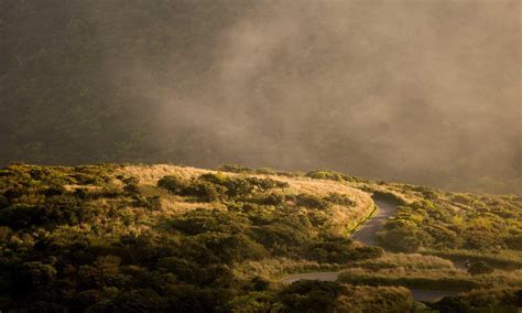 Mastering Data Structures The Foundation Of Efficient Programming — Association Of Registered