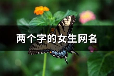 两个字的女生网名 共126个 淘名吧网