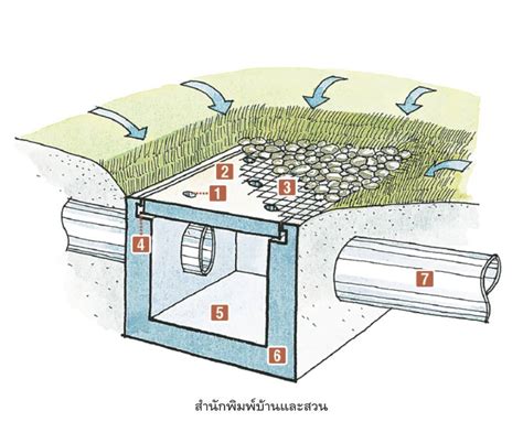 แก้ปัญหา การระบายน้ำ เมื่อต่อเติมบ้านใหม่ บ้านและสวน