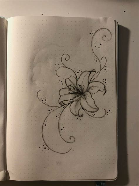 Lily Drawings