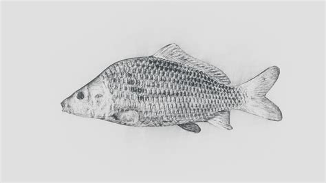 Hand Draw Pencil Sketch Shader Superhive Formerly Blender Market