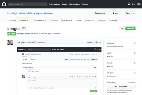 Images Issue Noahgift Cloud Data Analysis At Scale GitHub