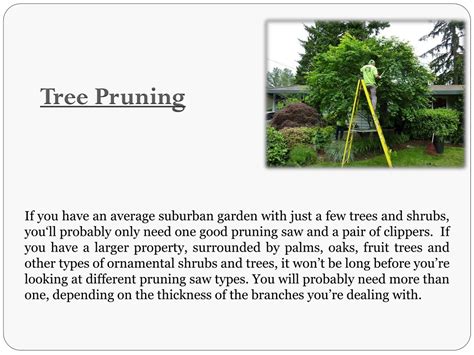 PPT Tree Pruning PowerPoint Presentation Free Download ID 1390278