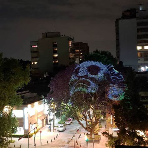 Projection Mapping On Trees Video Installation Scarlett