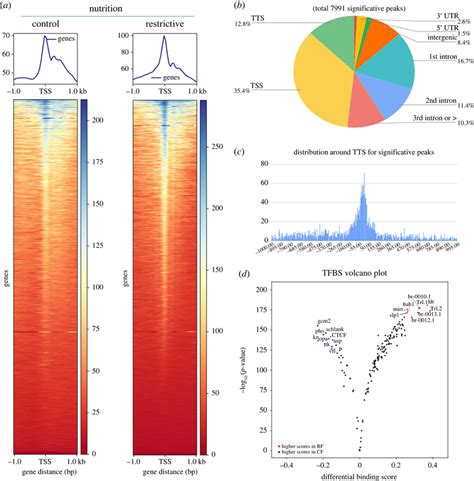 Atac Seq Experiment From Mushroom Body Neurons Nuclei Were Isolated Download Scientific