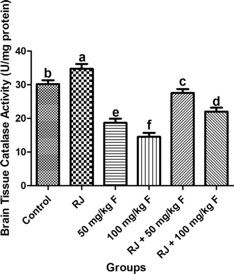 Brain Tissue Catalase Enzyme Activity Levels In Rats Ae Different