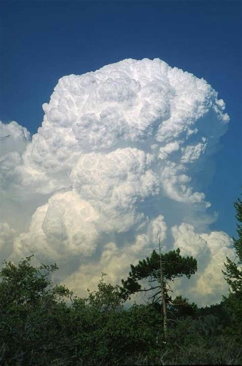 Cumulonimbus Clouds Clouds Cumulus Clouds Sky Aesthetic