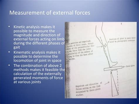 Kinetics And Kinematics Of Gait PPT Physics Science