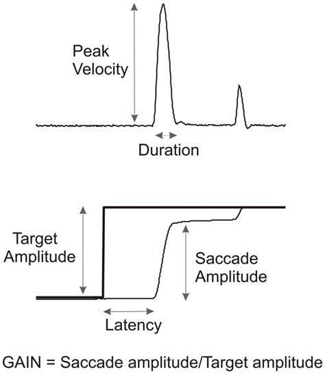 Saccadic Eye Movement Parameters Doi101371journalpone0022410g002
