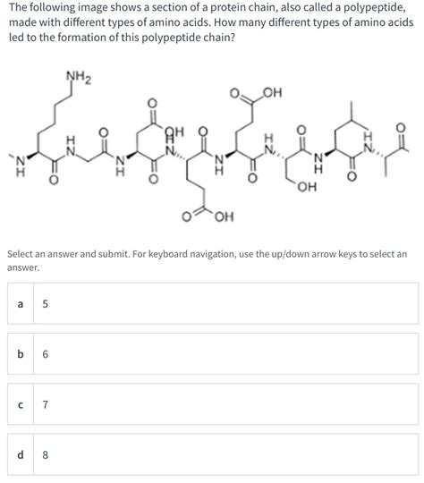 Solved The Following Image Shows A Section Of A Protein