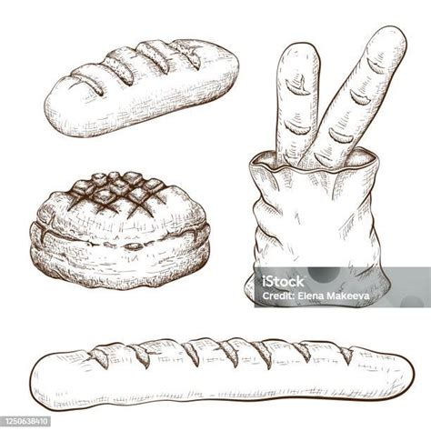 손으로 그린 빵은 흰색으로 고립되어 있습니다 프랑스 바게트 둥근 소박한 빵 밀 롱 로프 빵 등 다양한 빵의 벡터 빈티지 일러스트 베이커리 상품의 낙서 스케치 아이콘 마늘
