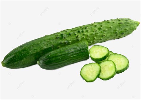오이 신선한 야채 사진 오이 야채 채소 Png 일러스트 및 이미지 에 대한 무료 다운로드 Pngtree