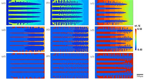 Simulated Solute Concentration Distributions Of The Simulations Of Download Scientific Diagram