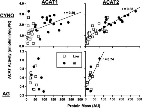 Associations Of Hepatic Acat Activity And Acat1 And Acat2 Protein Mass
