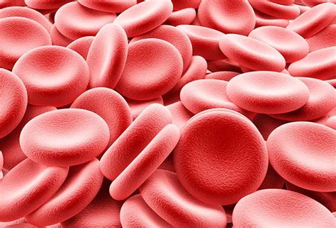 What Does A High Hematocrit Result Mean