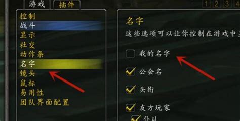 魔兽世界角色头上头衔不显示是什么原因 魔兽世界角色头上头衔不显示原因详解 梦幻手游网