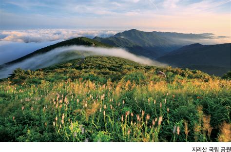 생태 보호 지역