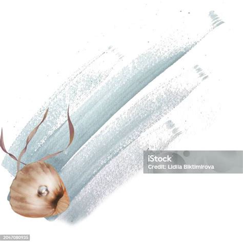 스플래시 배경에 진주가 있는 조개껍데기의 수채화 그림입니다 수제 일러스트는 흰색 배경에 고립되어 있습니다 엽서 명함 여름