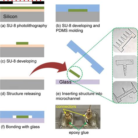 Schematic Of Overall Fabrication Processes Of The Microfluidic Check Download Scientific