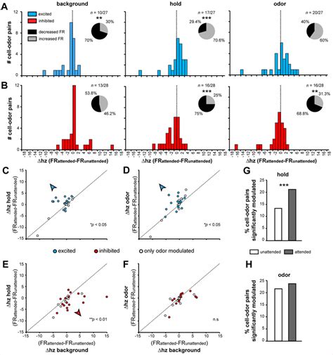 Selective Attention Controls Olfactory Decisions And The Neural Encoding Of Odors Pmc