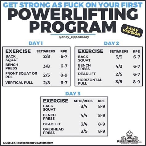 The Novice Powerlifting Program RippedBody Com Strength Training Program Powerlifting