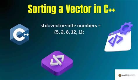 Sorting A Vector In C Naukri Code 360