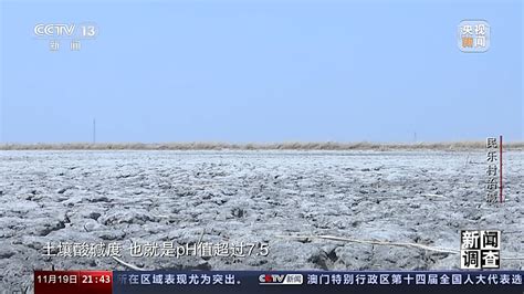 新闻调查丨土壤改良技术支持 让民乐村 盐碱地”变 致富田” 荆楚网 湖北日报网 新闻调查丨土壤改良技术支持 让民乐村 盐碱地”变 致富田” 荆楚网 湖北日报网