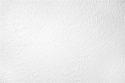 단색 흰색 배경