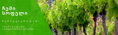 ჩემი სოფელი Linkedin