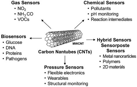 Unlocking The Future Carbon Nanotubes As Pioneers In Sensing Technologies