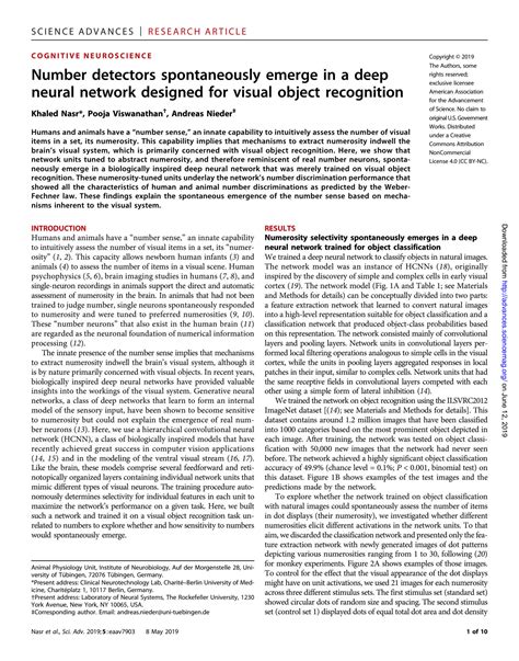 Solution Number Detectors Spontaneously Emerge In A Deep Neural Network Designed For Visual