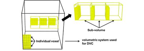 Schematic With The Object Volume Subset And Individual Voxel In A Download Scientific Diagram