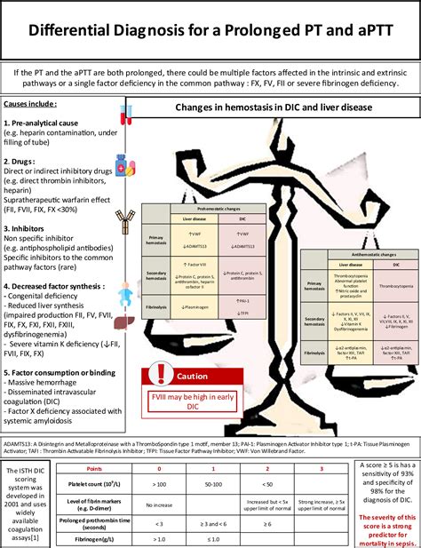 Differential Diagnosis For A Prolonged Pt And Aptt If Grepmed
