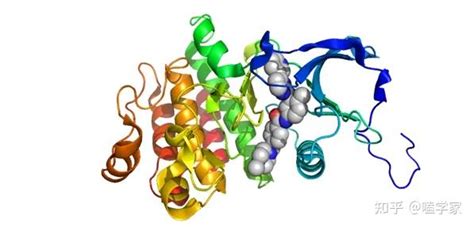 结构生物学：我们用一百年改变了什么？ 知乎