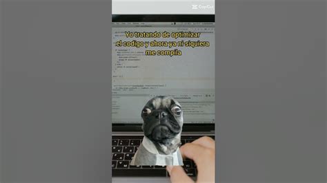 coder computerscience tecnologia coding humor computerprogramming codinglife education