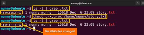 How To Change File Permissions In Linux Examples