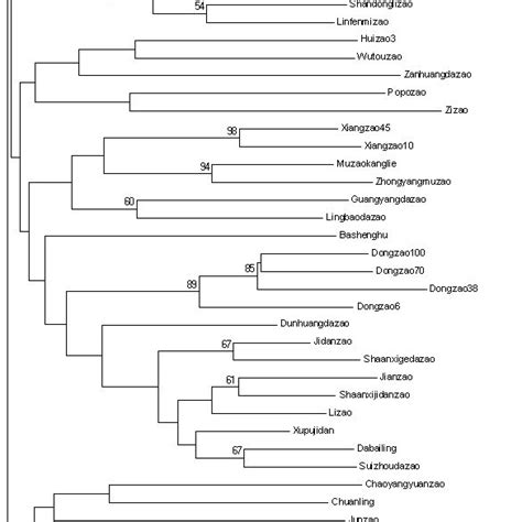 the dendrogram was generated using a simple matching coefficient based